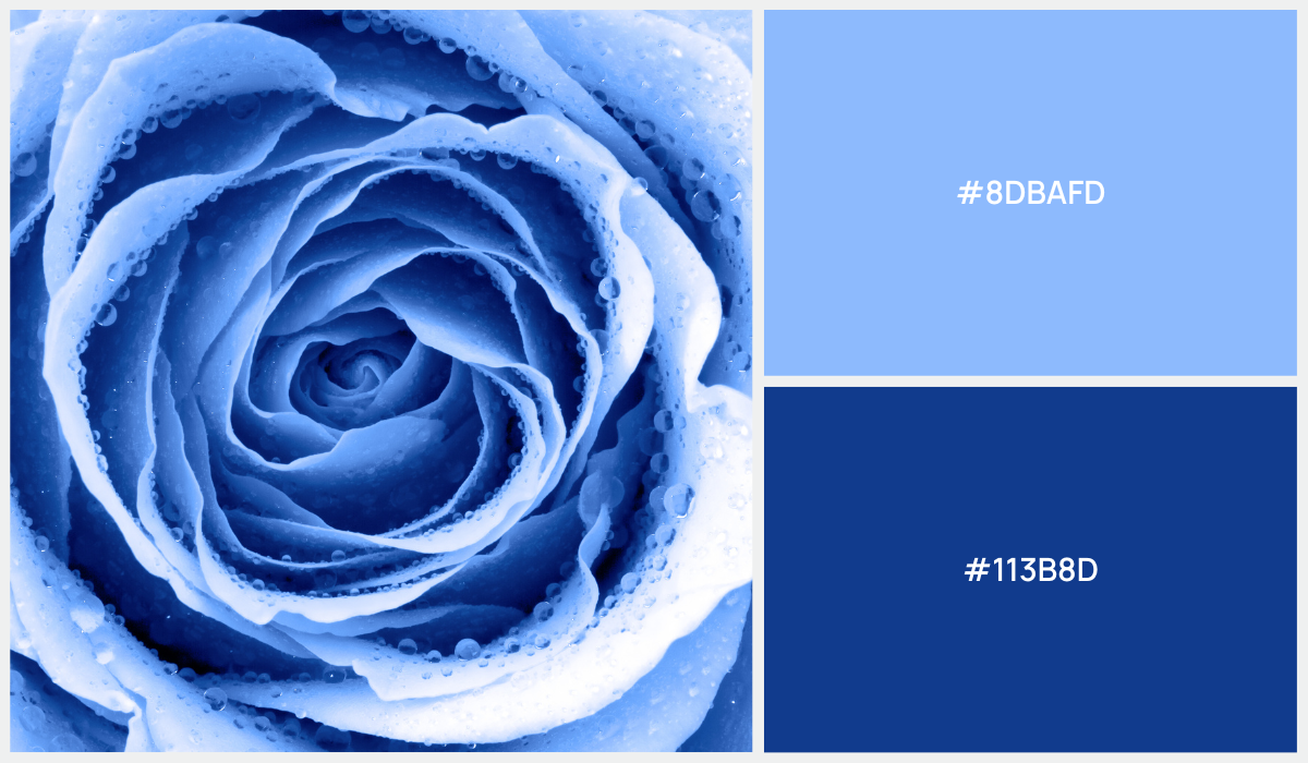 100+ Blue Color Palettes To Elevate Your Designs - BrandBoy