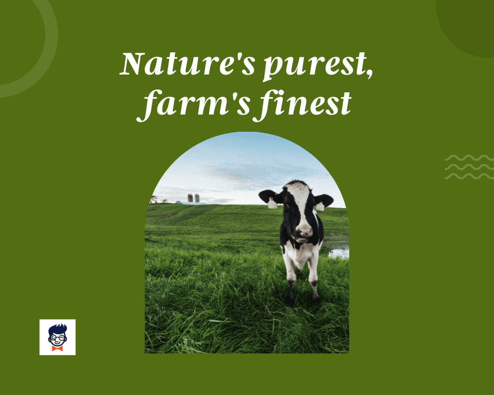 781+ Catchy Dairy Slogans And taglines (Geneartor + Guide) - BrandBoy