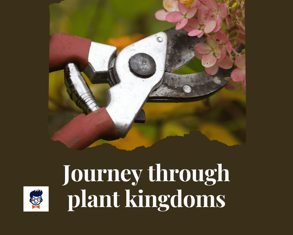 874+ Best Gardening Slogans And Phrases (Generator + Guide ...