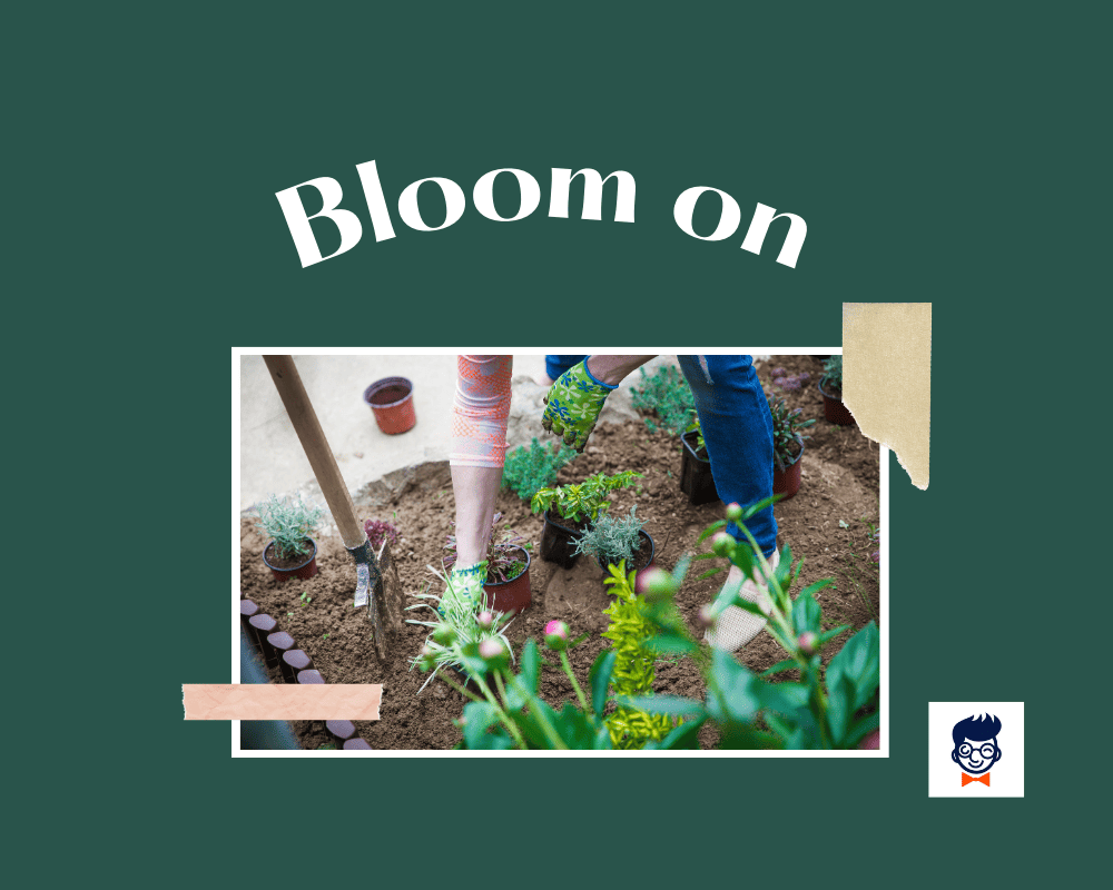 874+ Best Gardening Slogans And Phrases (Generator + Guide ...