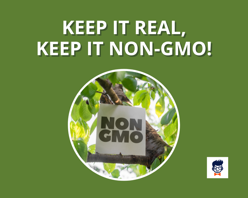 762+ Best Non-GMO slogans and Sayings (Generator +Guide) - TheBrandBoy.com