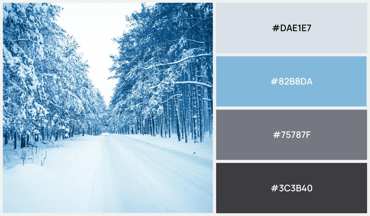 30+ Winter Color Palettes To Elevate Your Designs