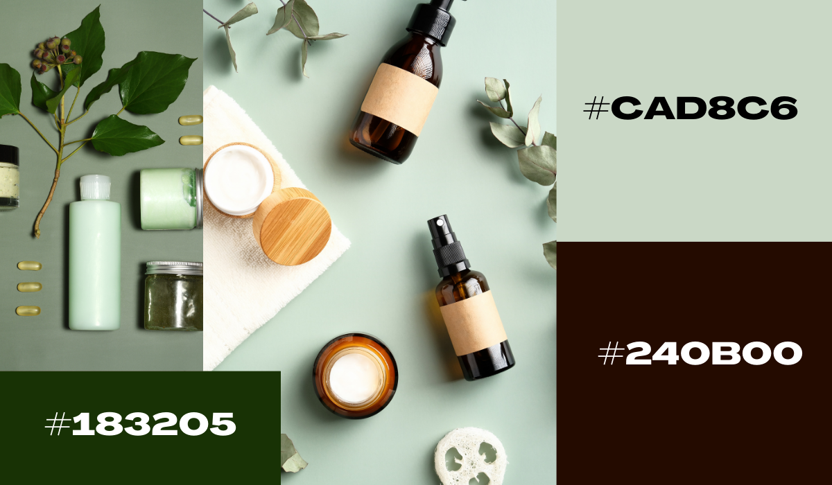 30+ Trending Graphic Design Color Palettes For Your Next Project