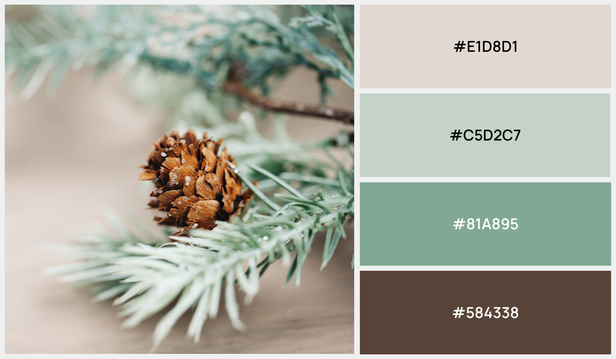 30+ Winter Color Palettes To Elevate Your Designs