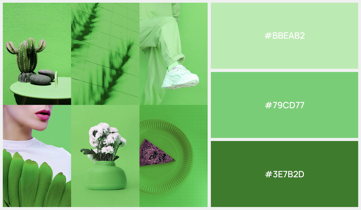 100+ Green Color Palettes To Elevate Your Design Projects