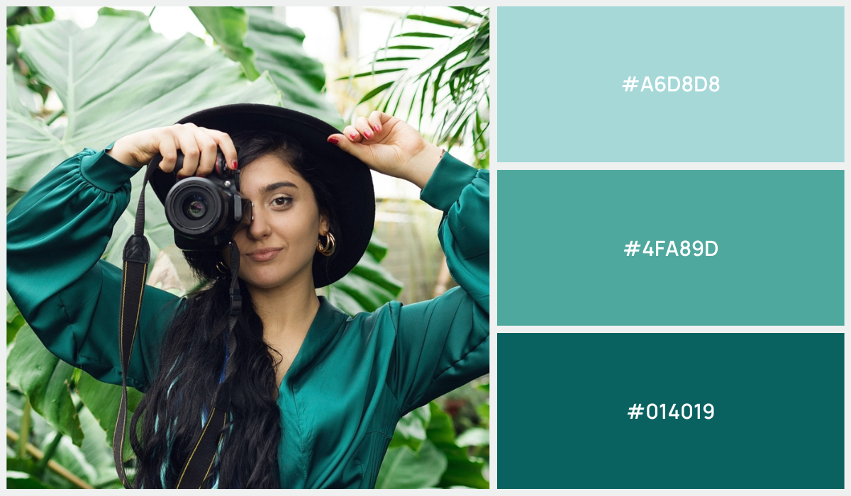 100+ Green Color Palettes To Elevate Your Design Projects