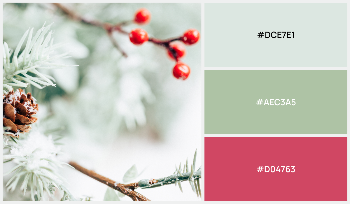 30+ Winter Color Palettes To Elevate Your Designs