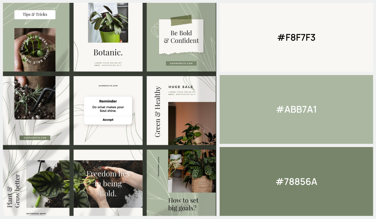 30+ Cool Social Media Color Palettes (Don't Miss Out) - BrandBoy