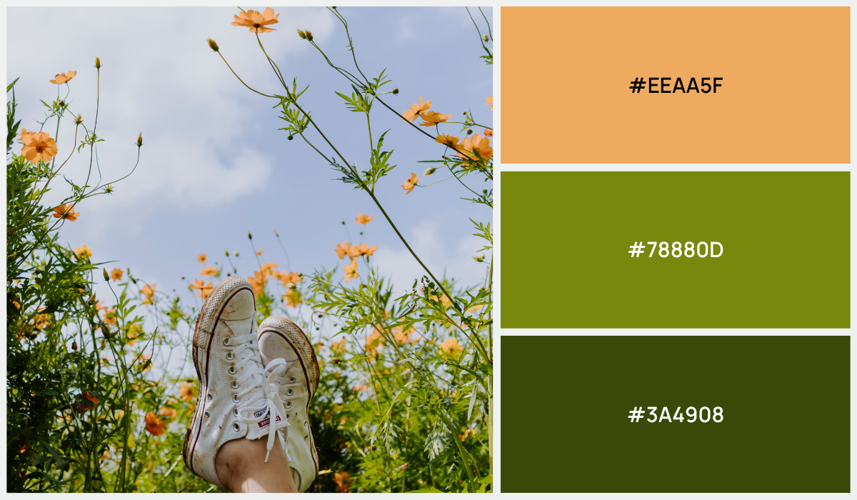 30+ Spring Color Palettes To Elevate Your Designs - BrandBoy