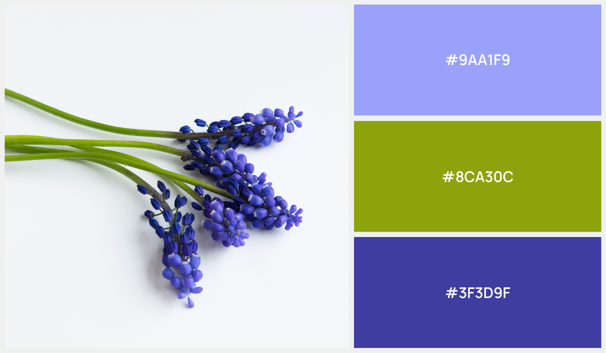 30+ Spring Color Palettes To Elevate Your Designs - BrandBoy