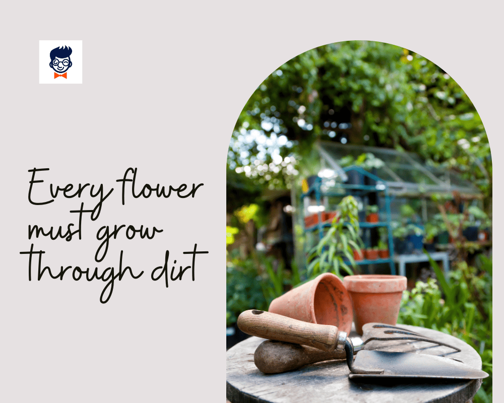 874+ Best Gardening Slogans And Phrases (Generator + Guide ...