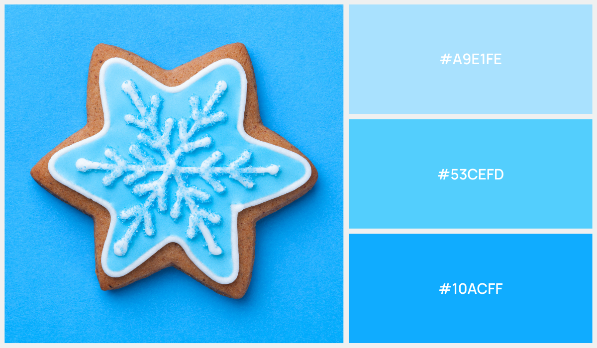 30+ Winter Color Palettes To Elevate Your Designs