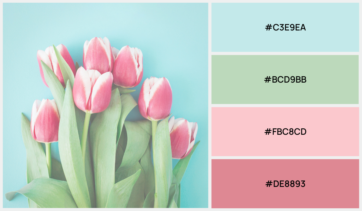 30+ Stunning Light Color Palettes For Logo Design (Don't Miss Out ...