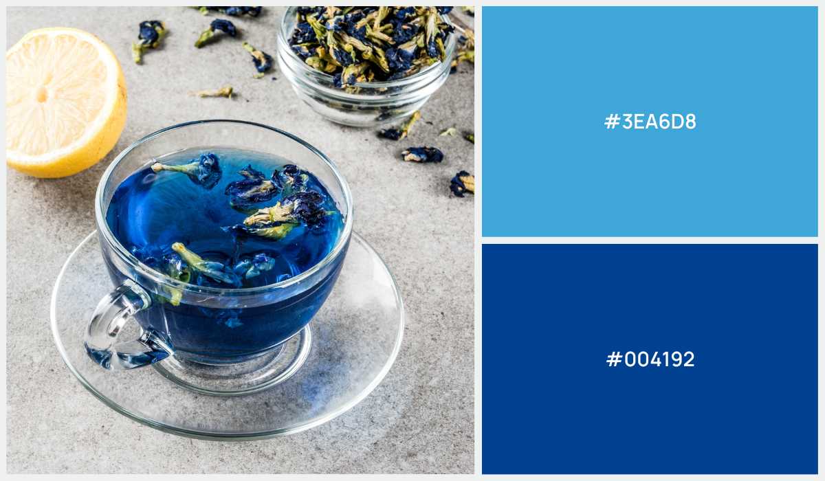 100+ Blue Color Palettes To Elevate Your Designs - BrandBoy