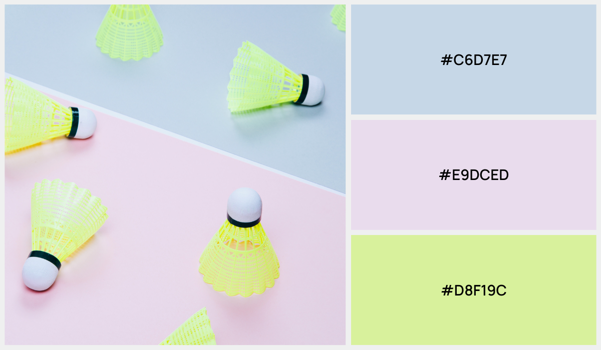 30+ Stunning Light Color Palettes For Logo Design (Don't Miss Out ...