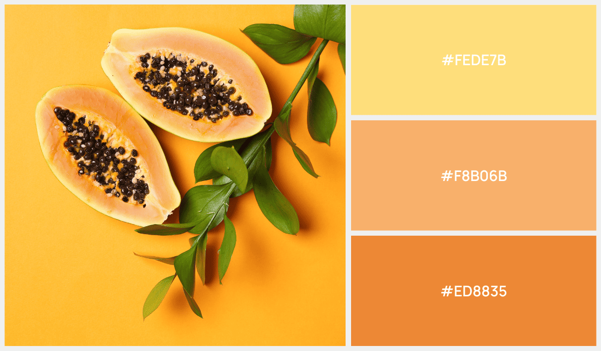 30+ Orange Color Palettes For Logo Design (Don't Miss Out) - BrandBoy