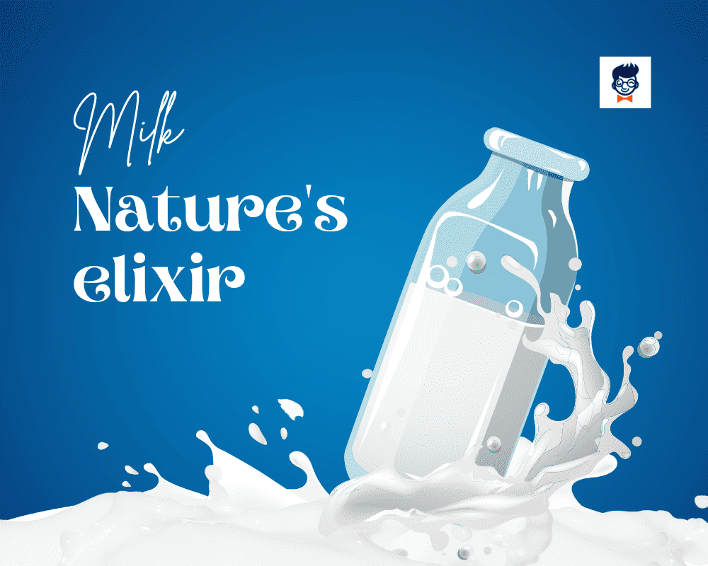 781+ Catchy Dairy Slogans And taglines (Geneartor + Guide) - BrandBoy