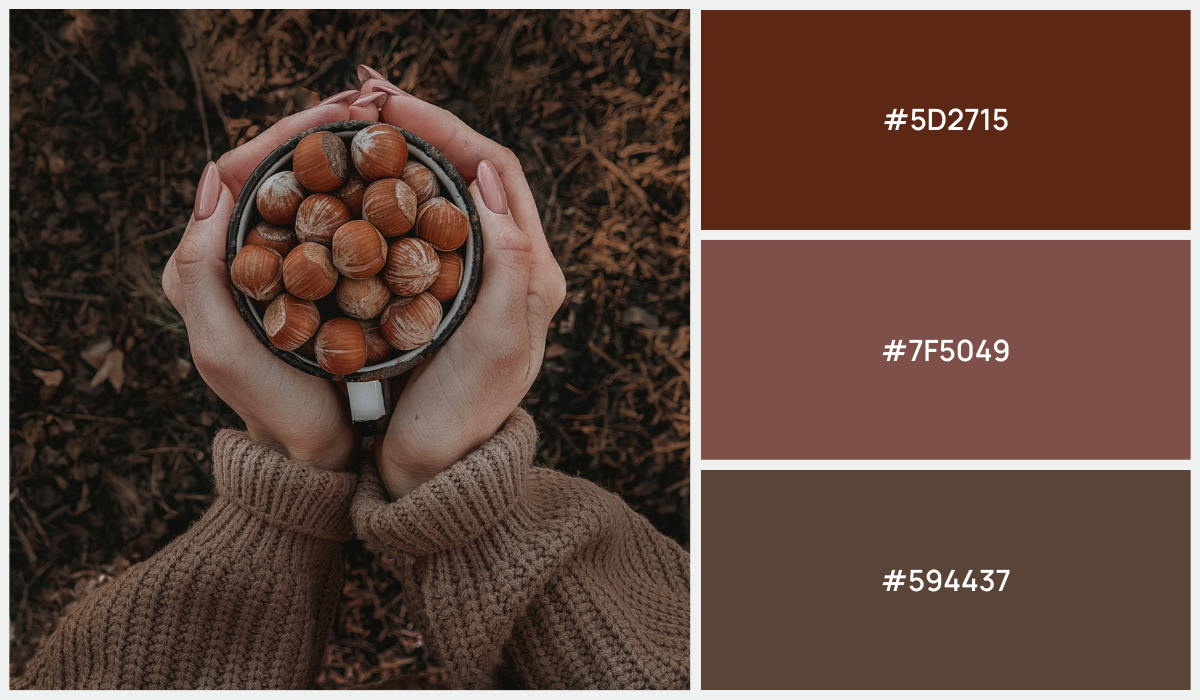 30+ Brown Color Palettes To Elevate Your Online Presence