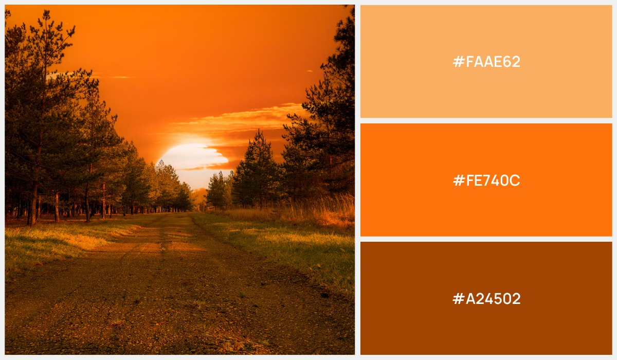 30+ Warm Color Palettes To Elevate Your Designs