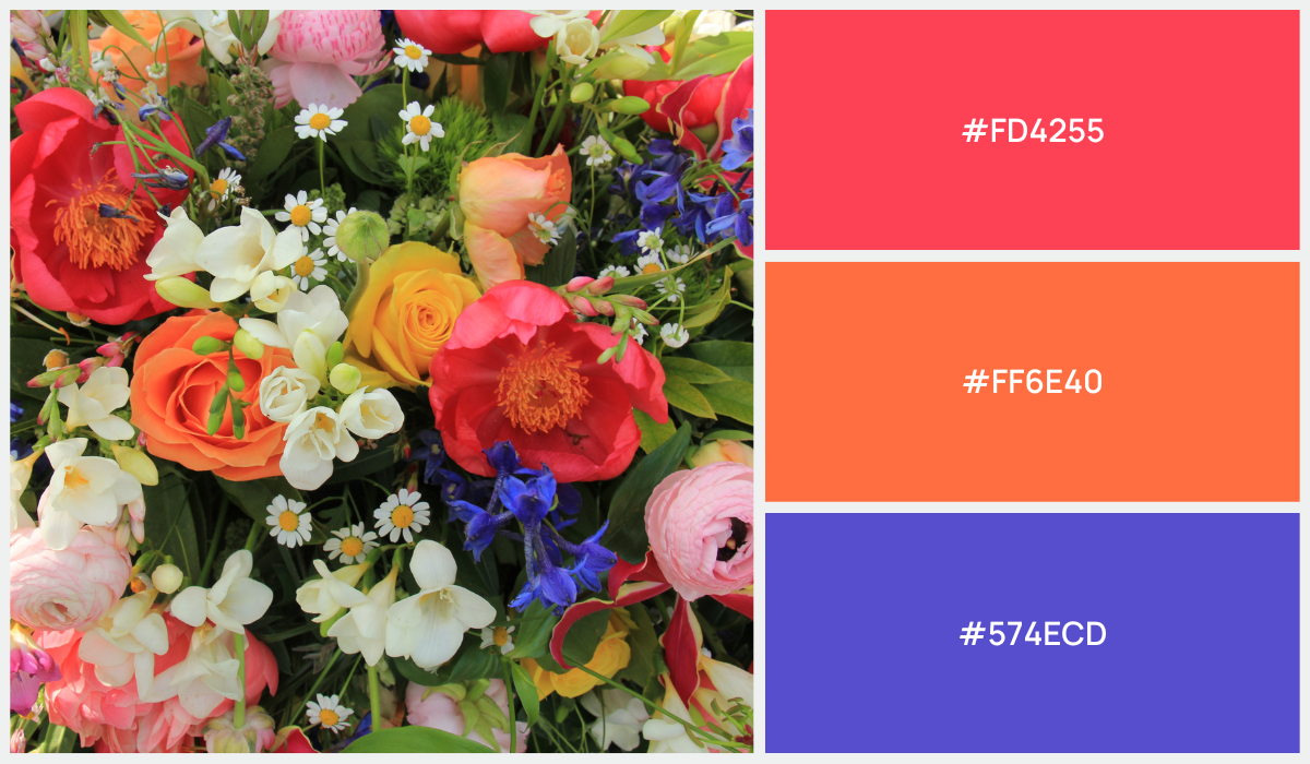 30+ Spring Color Palettes To Elevate Your Designs - BrandBoy