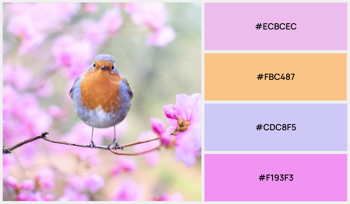 30+ Spring Color Palettes To Elevate Your Designs - BrandBoy