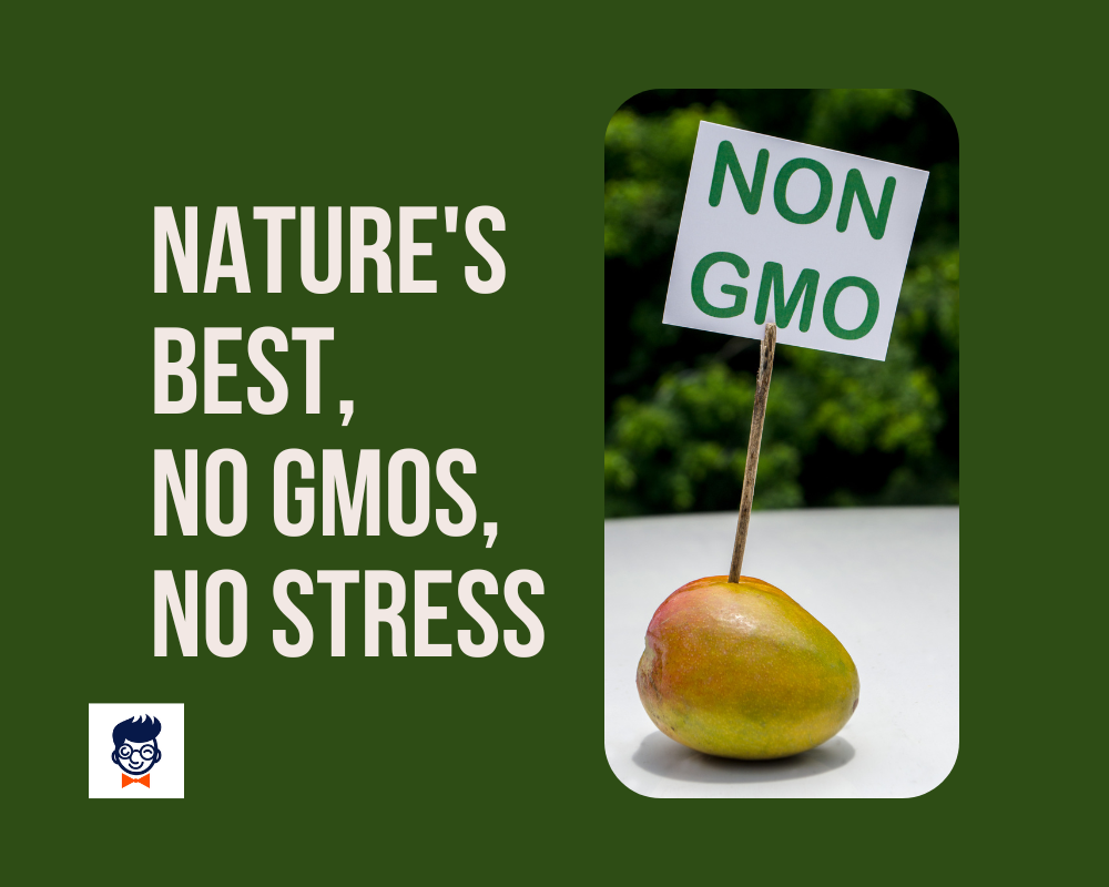 762+ Best Non-GMO slogans and Sayings (Generator +Guide) - TheBrandBoy.com