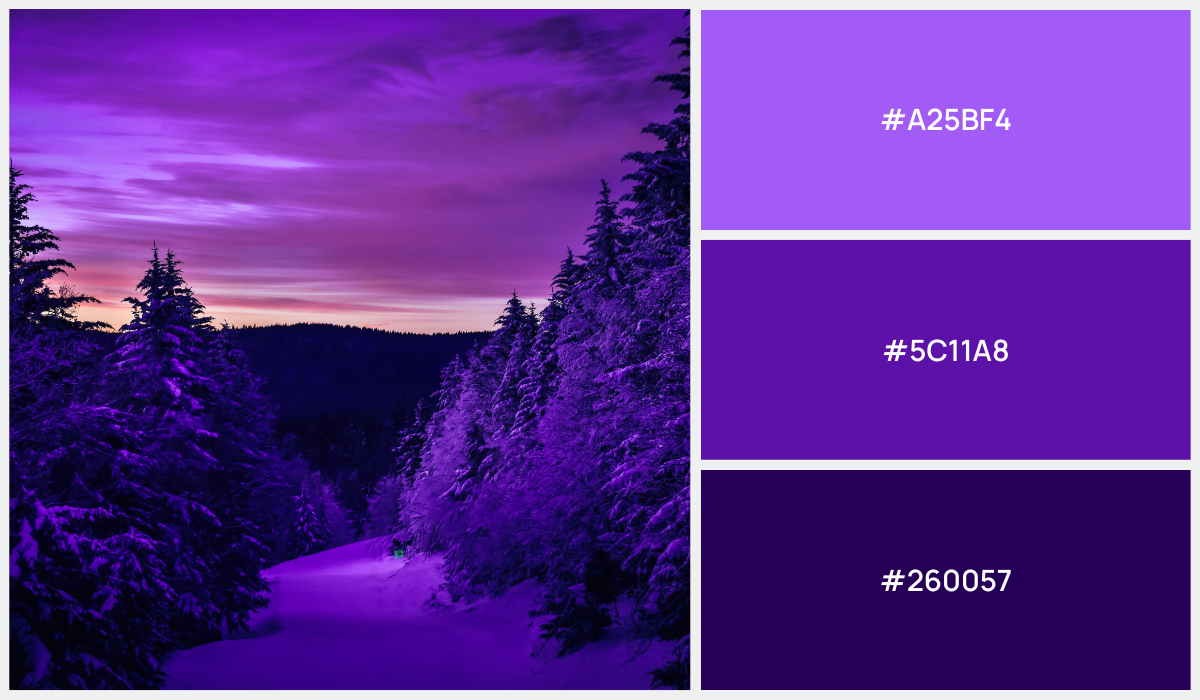 30+ Purple Color Palettes To Make Wonderful Designs - BrandBoy