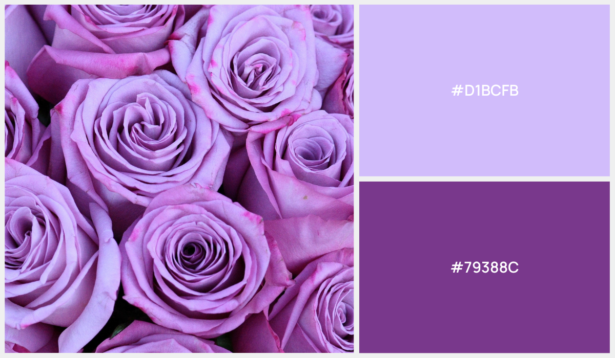 30+ Purple Color Palettes To Make Wonderful Designs - BrandBoy