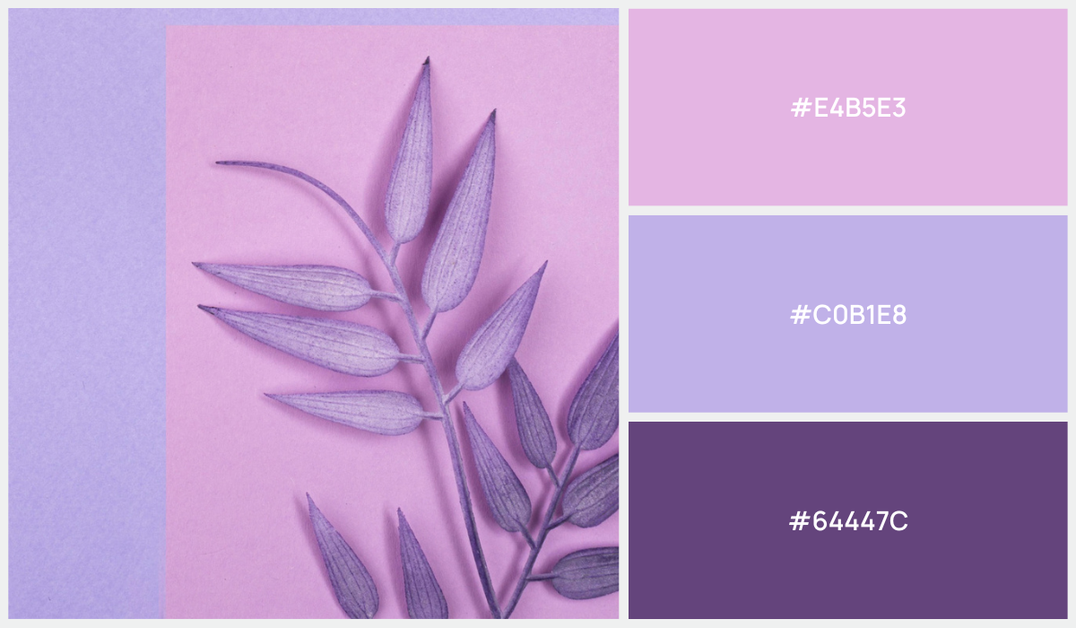 30+ Purple Color Palettes To Make Wonderful Designs - BrandBoy