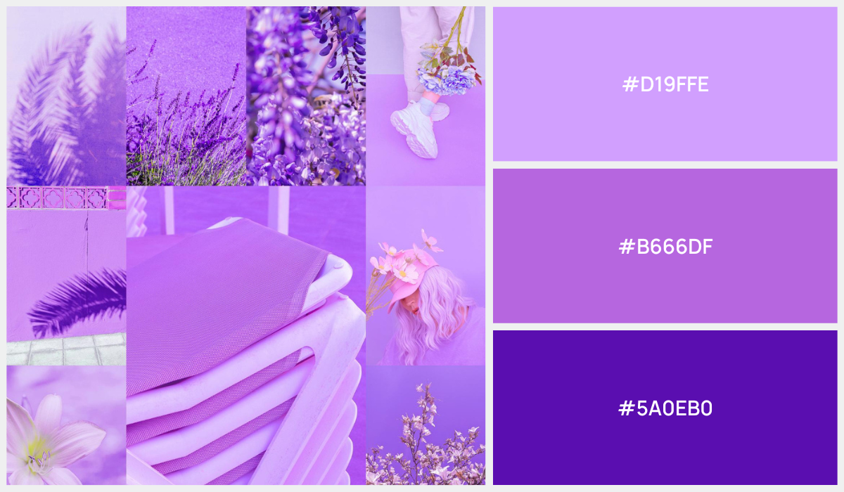 30+ Purple Color Palettes To Make Wonderful Designs - BrandBoy