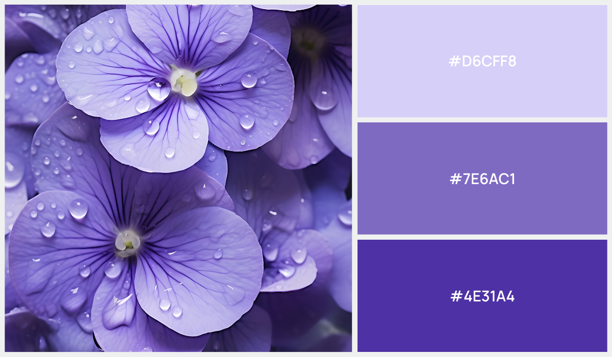 30+ Purple Color Palettes To Make Wonderful Designs - BrandBoy