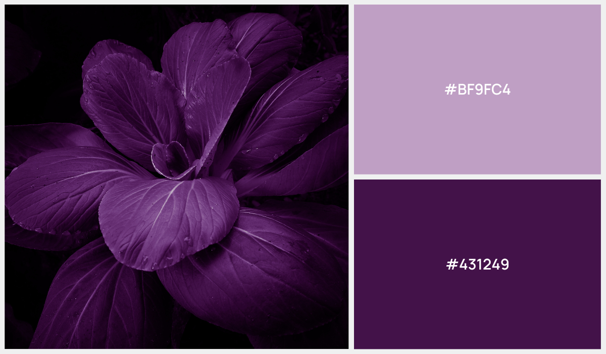 30+ Purple Color Palettes To Make Wonderful Designs - BrandBoy