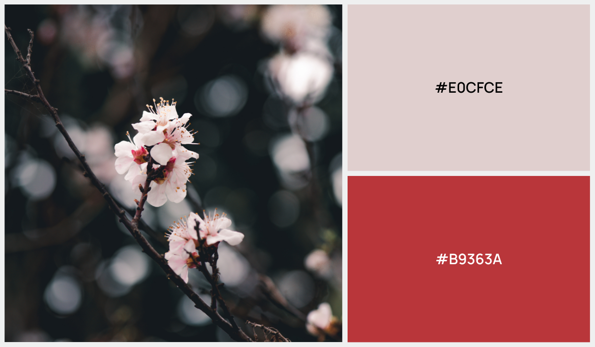 30+ Spring Color Palettes To Elevate Your Designs - BrandBoy