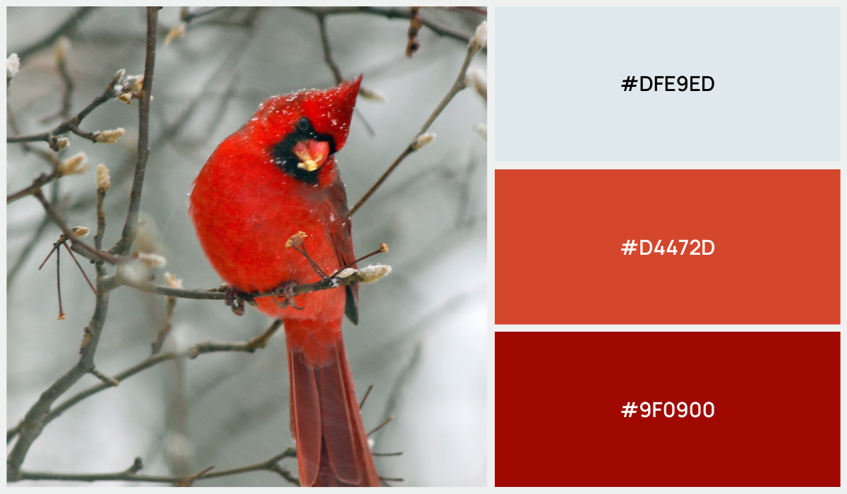 30+ Winter Color Palettes To Elevate Your Designs