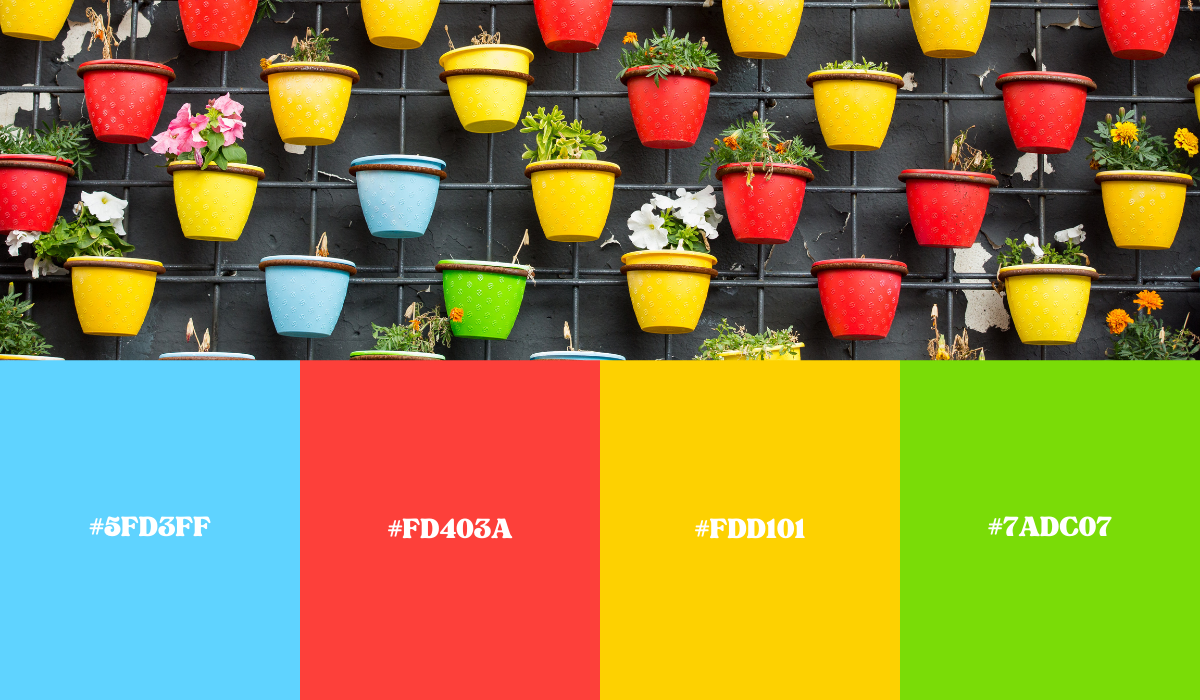 30+ Trending Graphic Design Color Palettes For Your Next Project