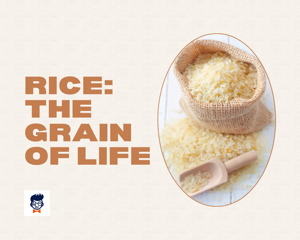 871+ Rice Slogans for Perfect Marketing - theBrandboy.com