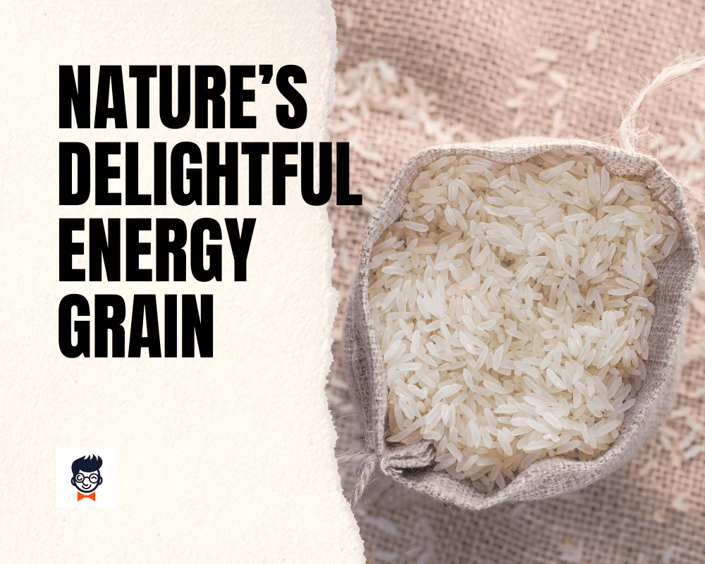 871+ Rice Slogans for Perfect Marketing - theBrandboy.com