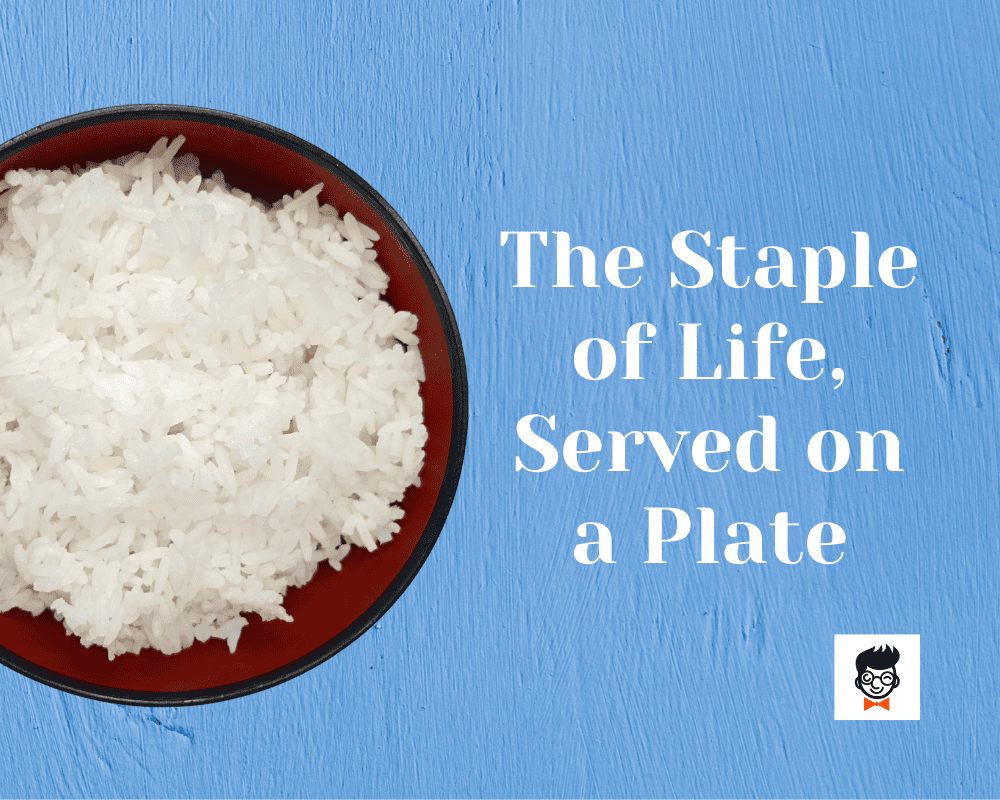 871+ Rice Slogans for Perfect Marketing - theBrandboy.com