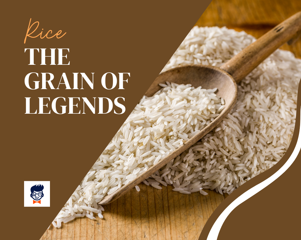 871+ Rice Slogans for Perfect Marketing - theBrandboy.com