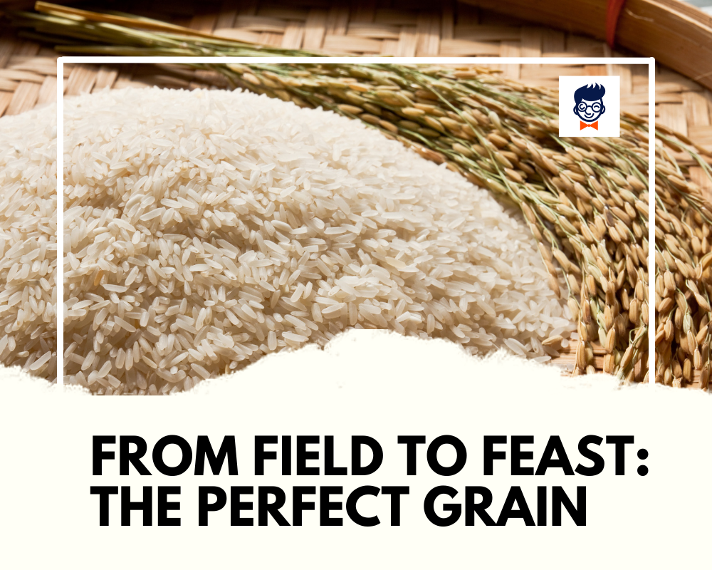 871+ Rice Slogans for Perfect Marketing - theBrandboy.com