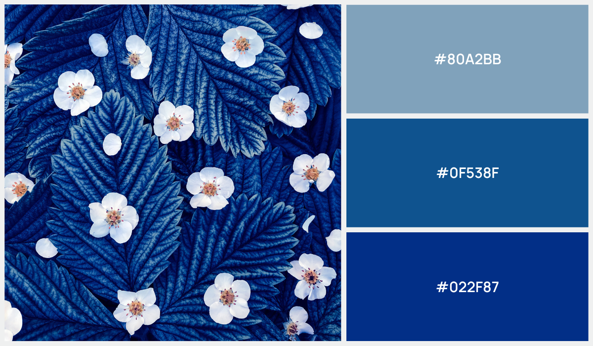 100+ Blue Color Palettes To Elevate Your Designs - BrandBoy