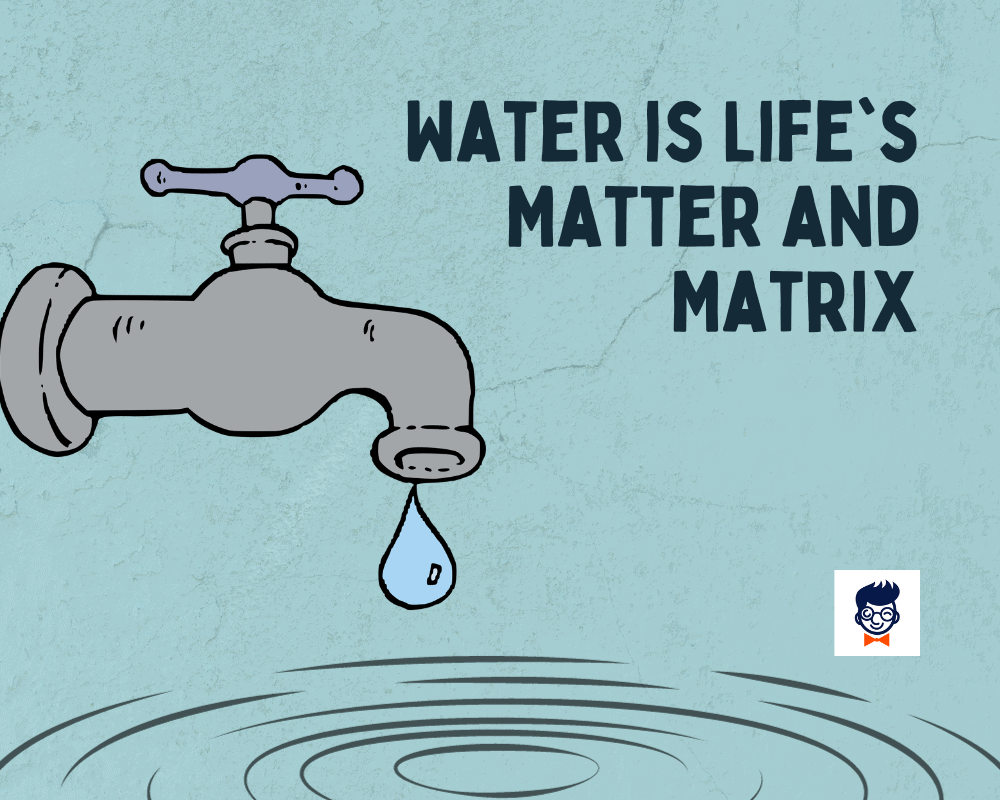 877+ Superb Save Water Slogans and taglines (Generator + Guide ...