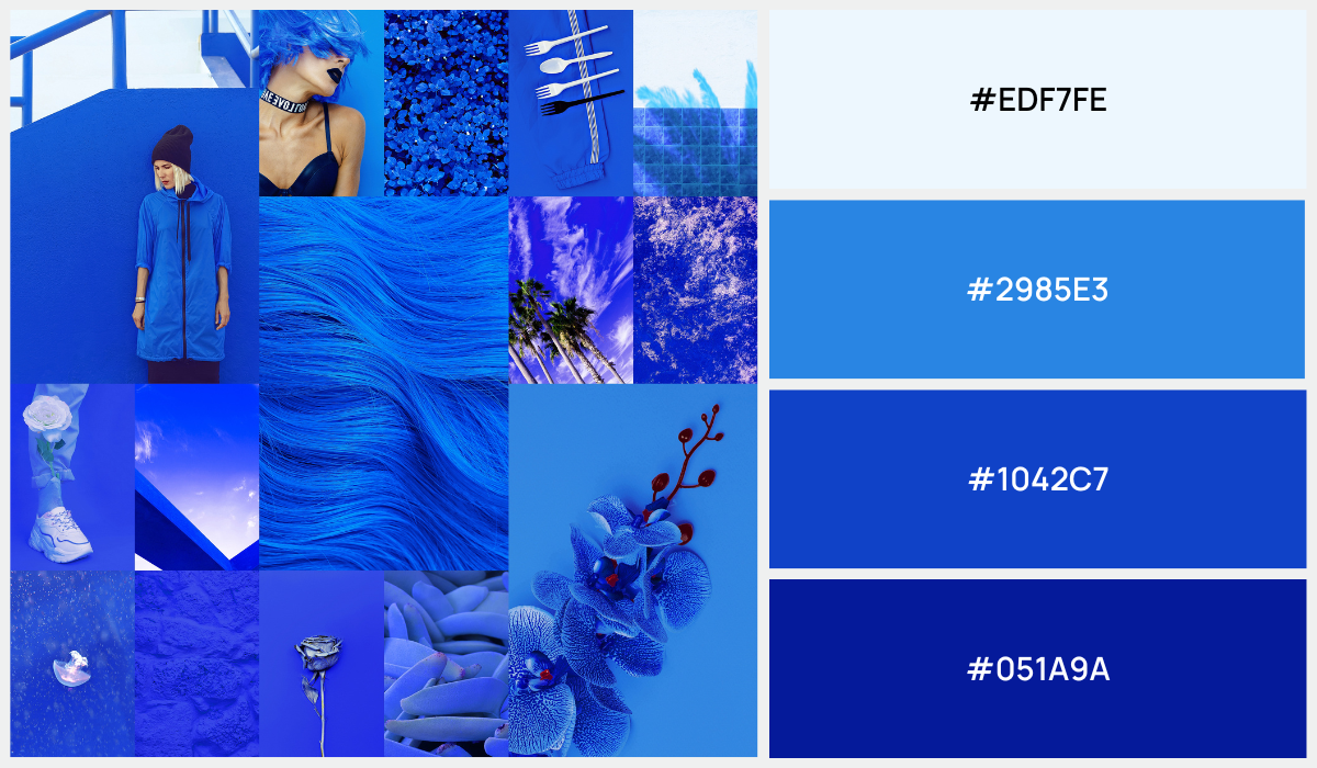 100+ Blue Color Palettes To Elevate Your Designs - BrandBoy
