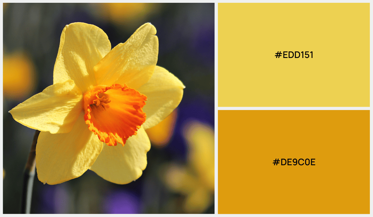 30+ Yellow Color Palettes For Logo Inspiration (Don't Miss Out)
