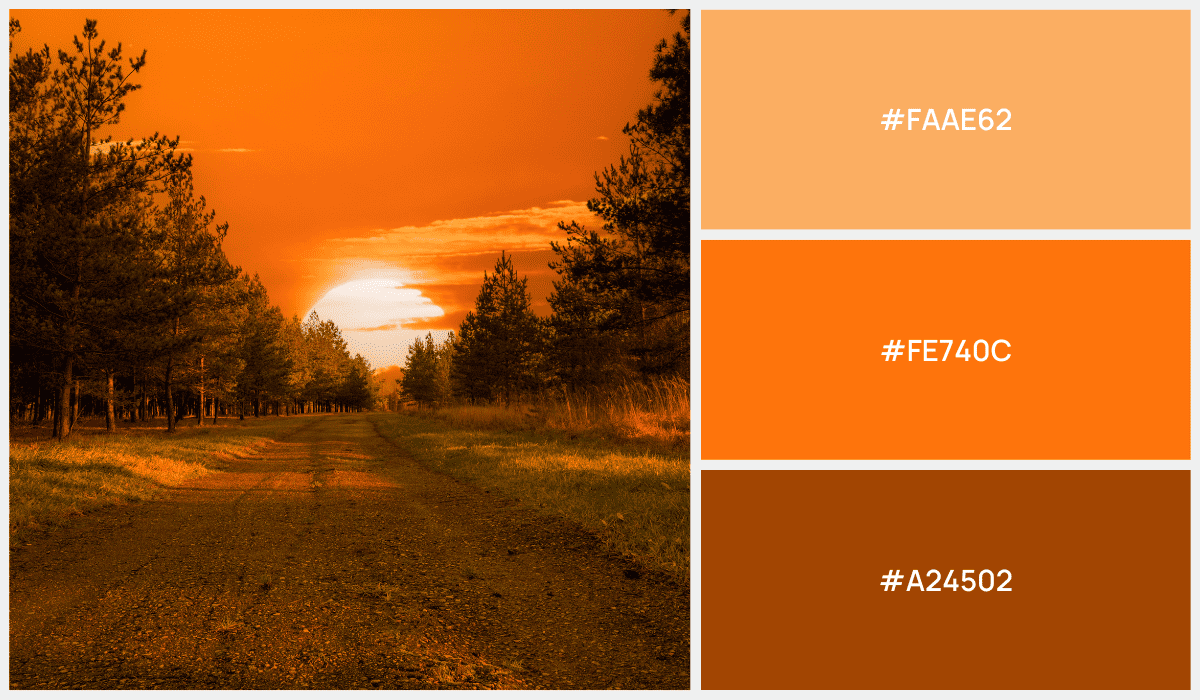 30+ Orange Color Palettes For Logo Design (Don't Miss Out) - BrandBoy