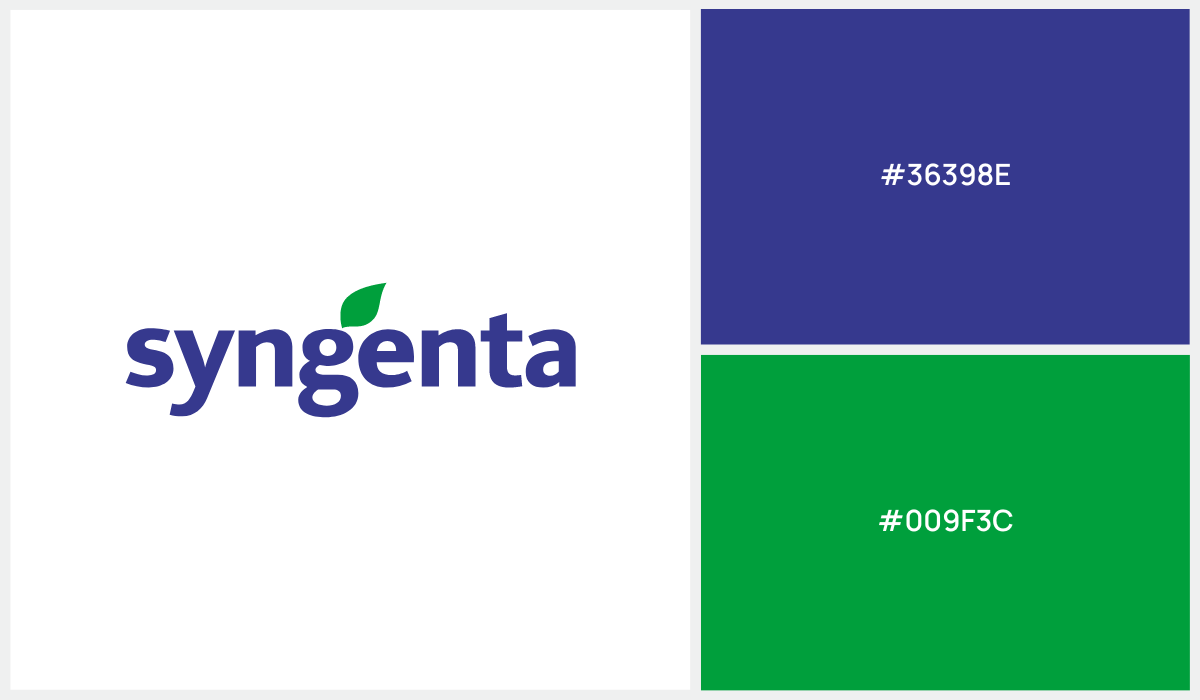 30+ Top Brand Color Palettes For Creative Inspiration