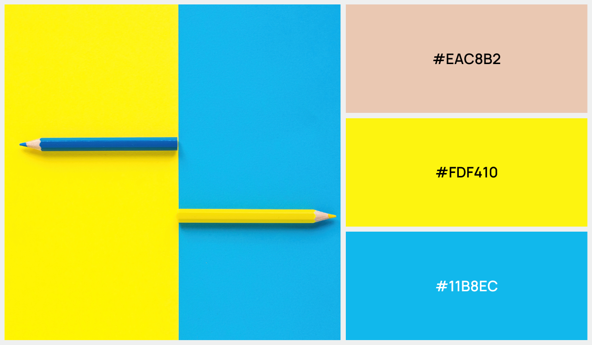 30+ Trending Color Palettes (Don't Miss Out)