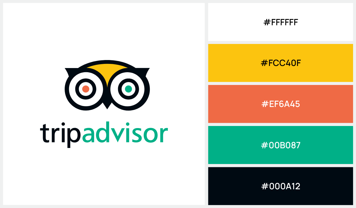 30+ Top Brand Color Palettes For Creative Inspiration