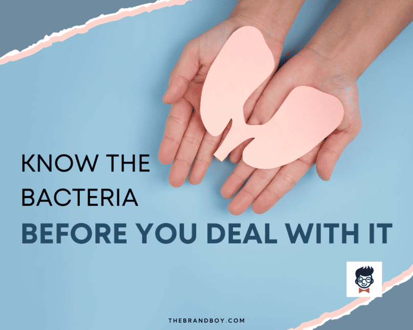 630+ Health Slogans and Taglines (Generator + Guide) - BrandBoy