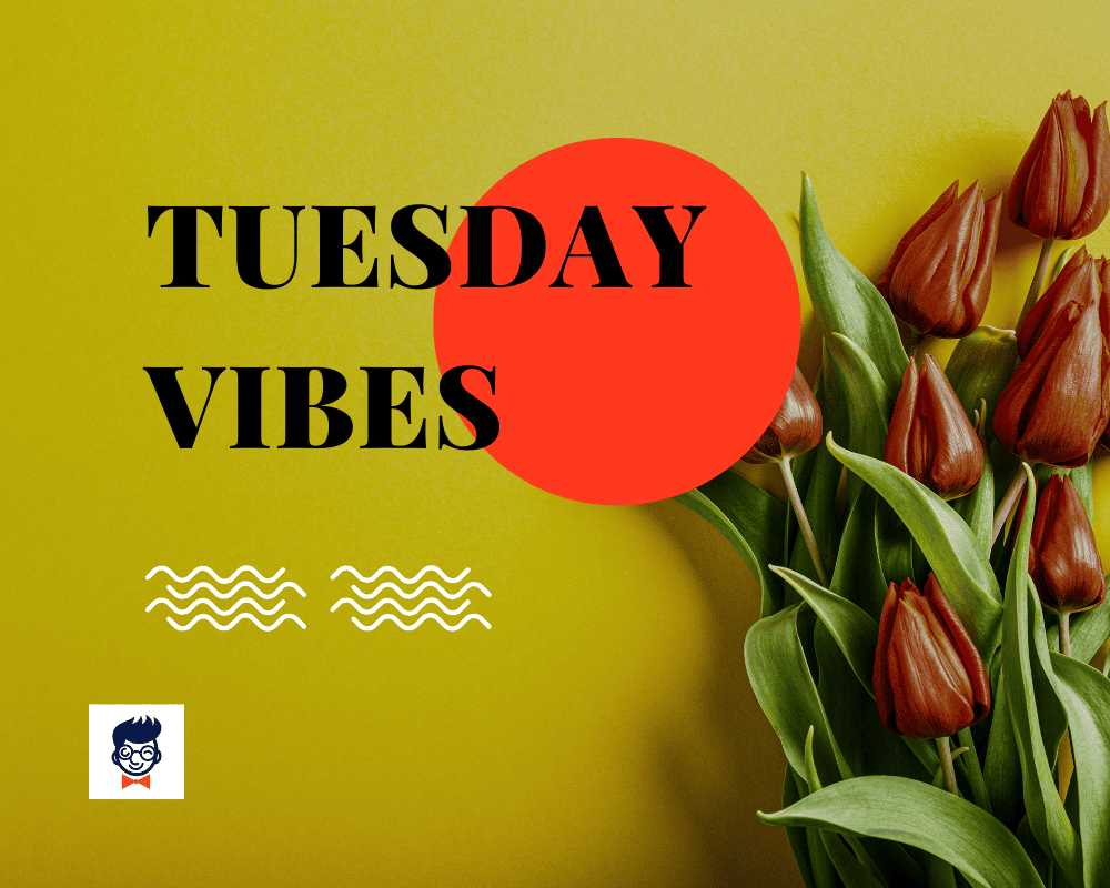 871+ Brilliant Tuesday Slogans - Thebrandboy.com